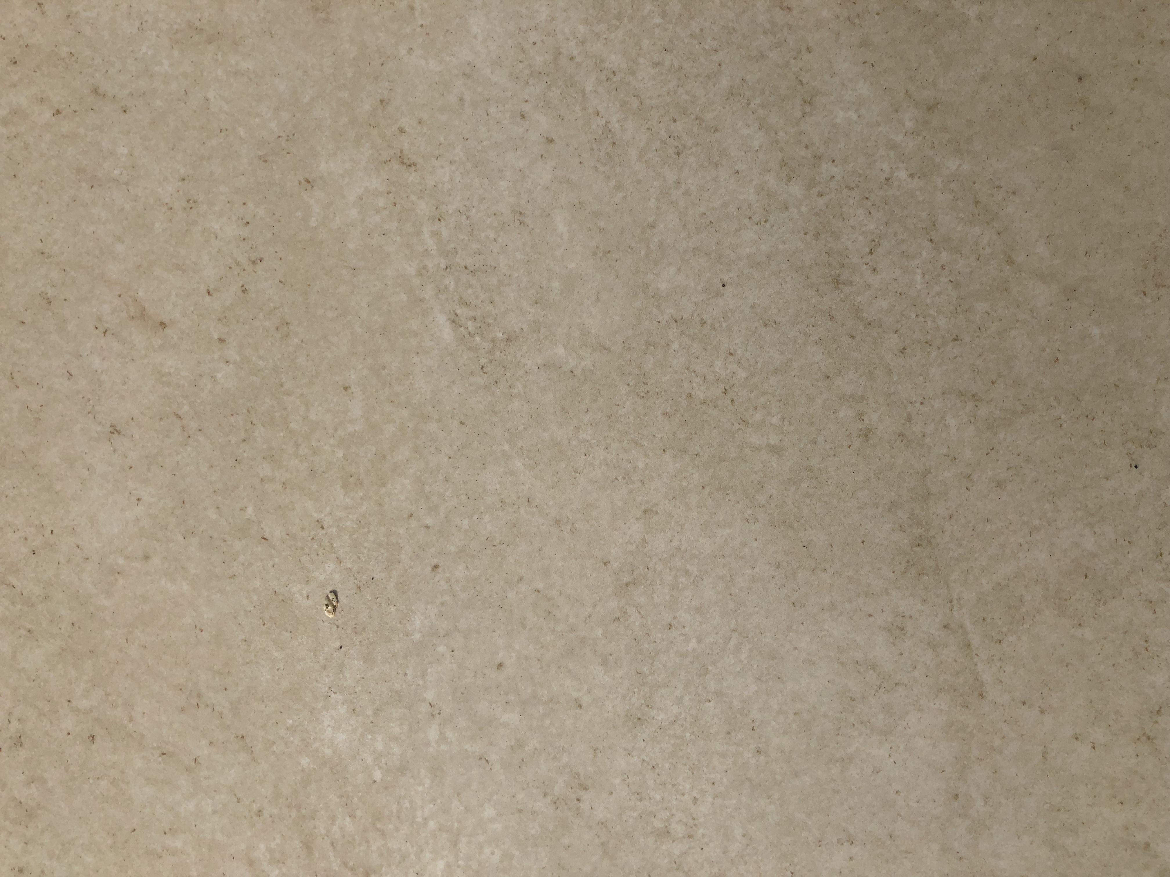 Hammerstone Beige Porcelain Paving | Greener Landscapes